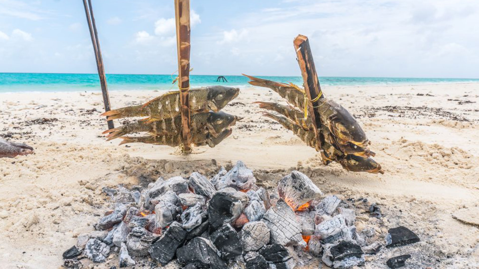 BBQ Lunch On Marimbani Sandbank | Excursions in Mafia Island
