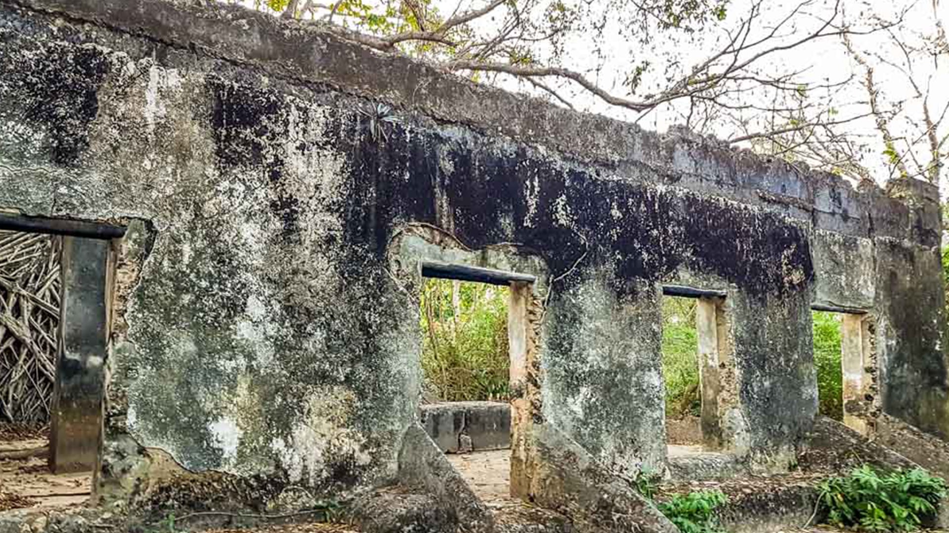 Discover The Secrets of Chole Island | Excursions in Mafia Island