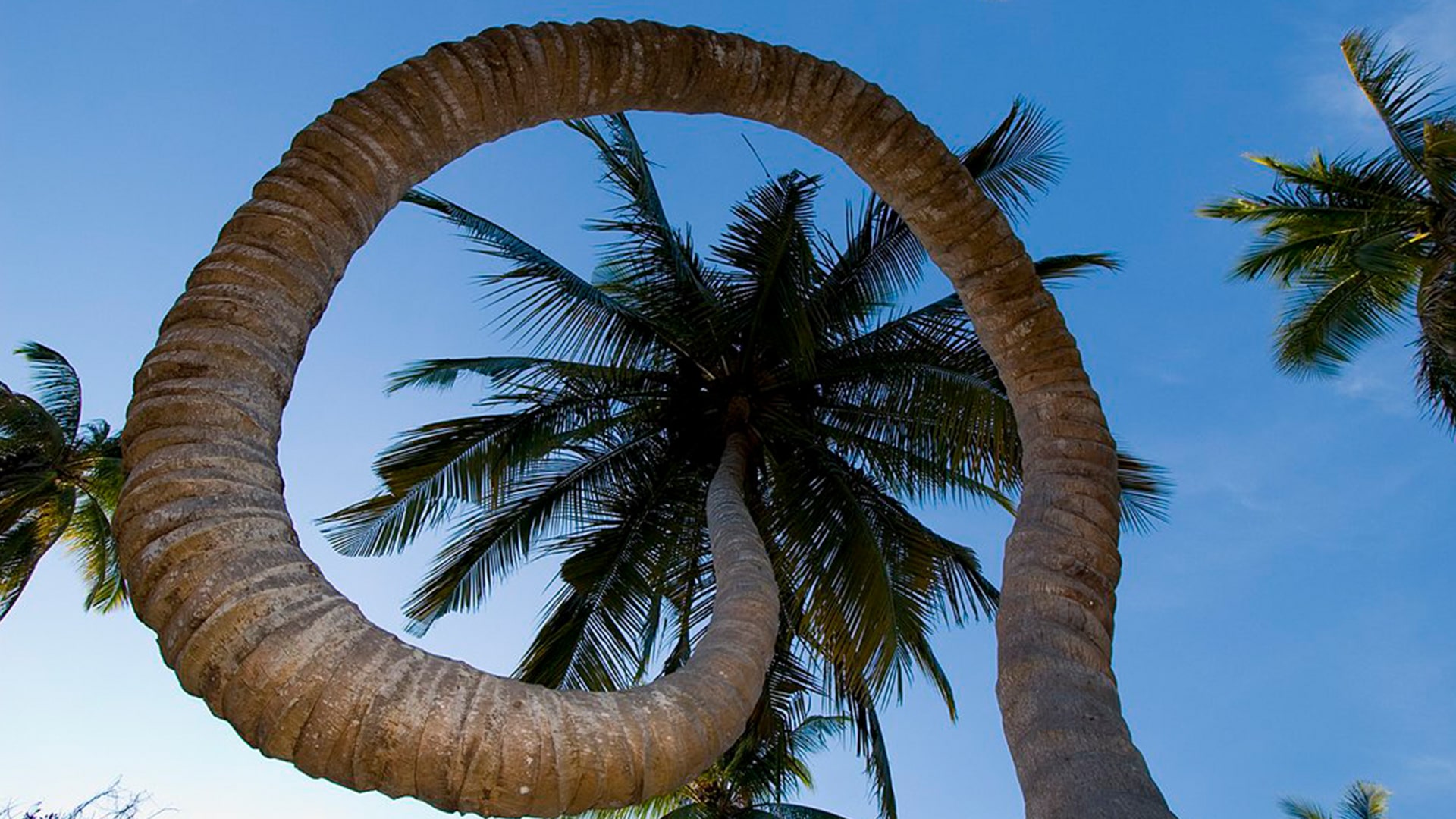 Discover The Secrets of Chole Island | Excursions in Mafia Island