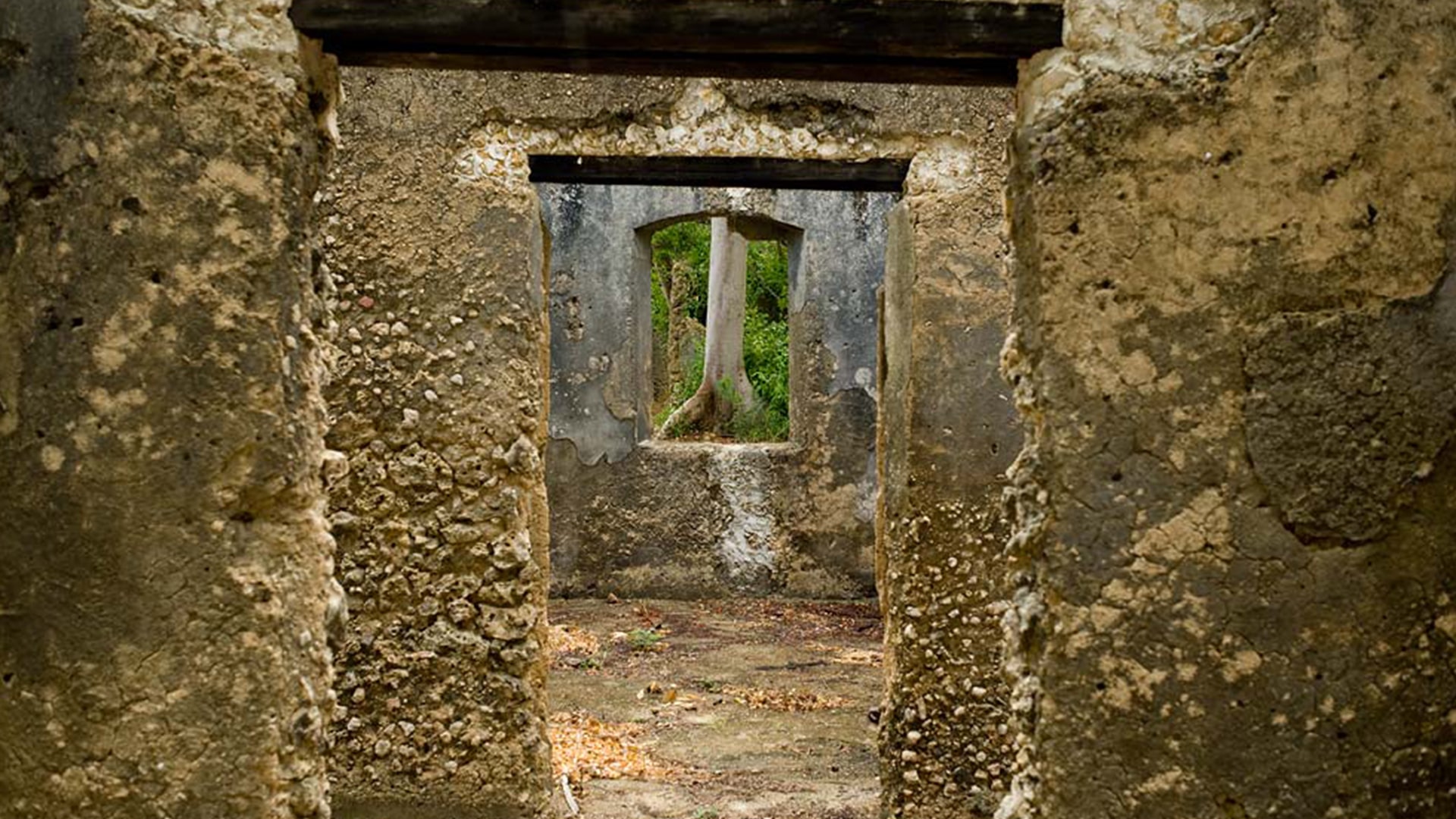 Discover The Secrets of Chole Island | Excursions in Mafia Island