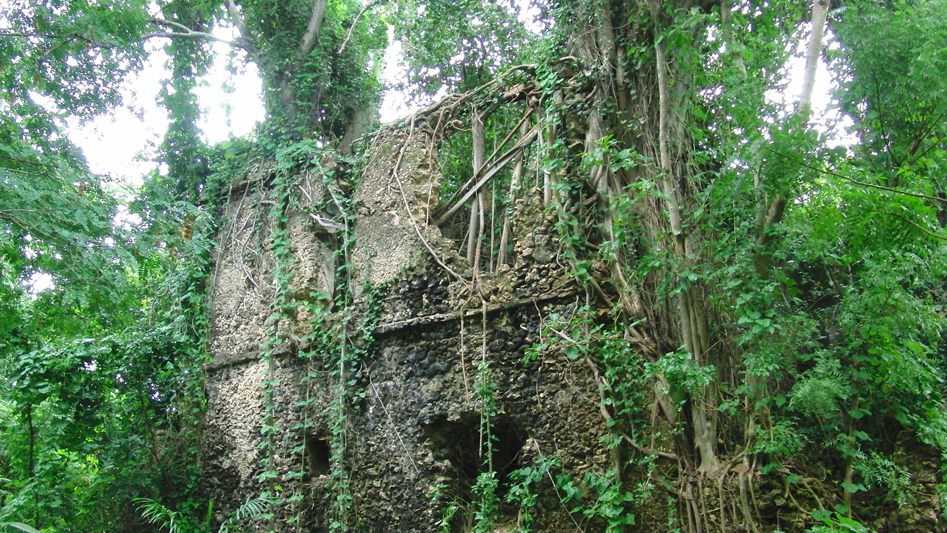 Discover The Secrets of Chole Island | Excursions in Mafia Island