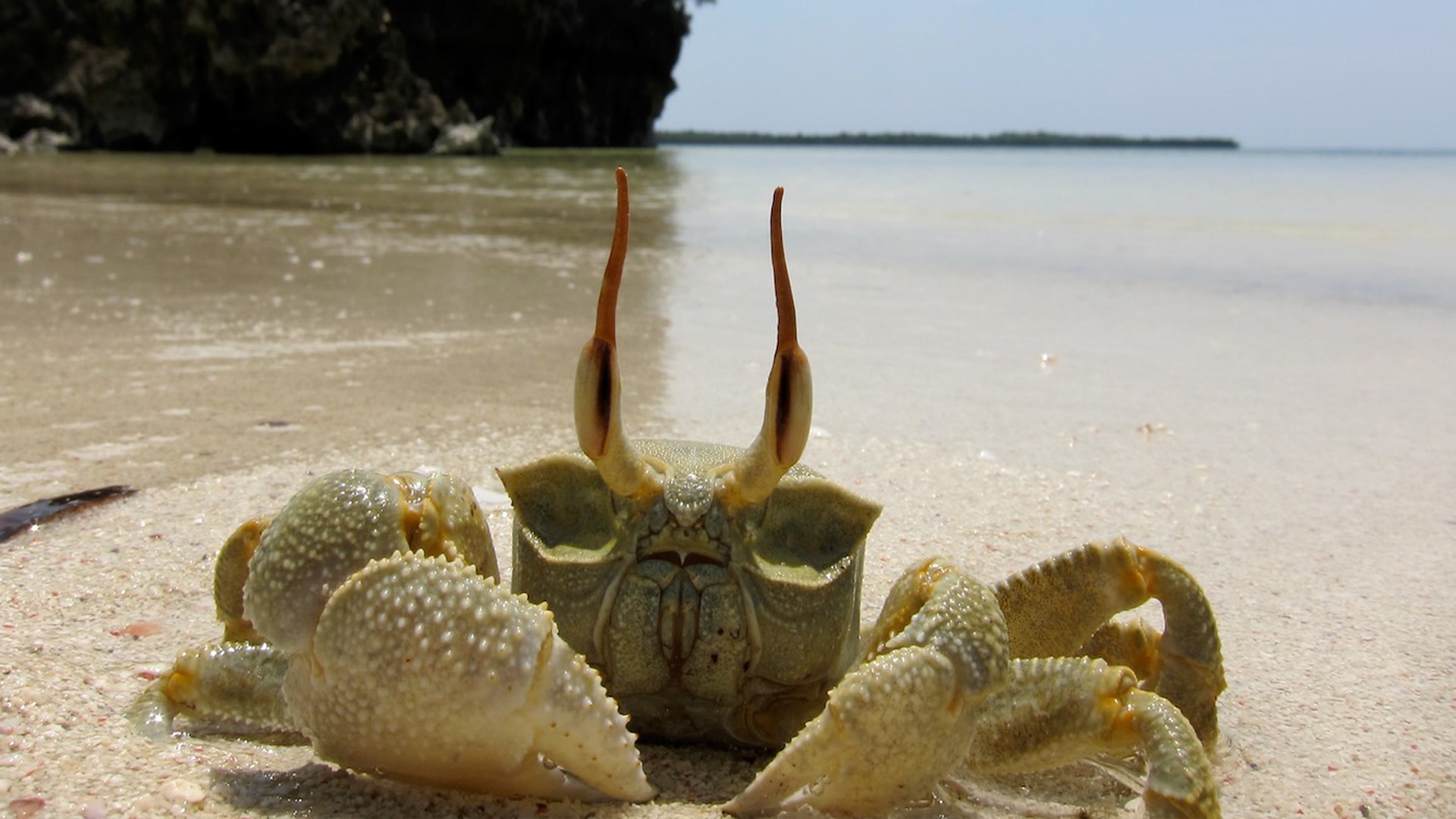 Experience Fisherman Island Vibes | What To Do in Mafia Island