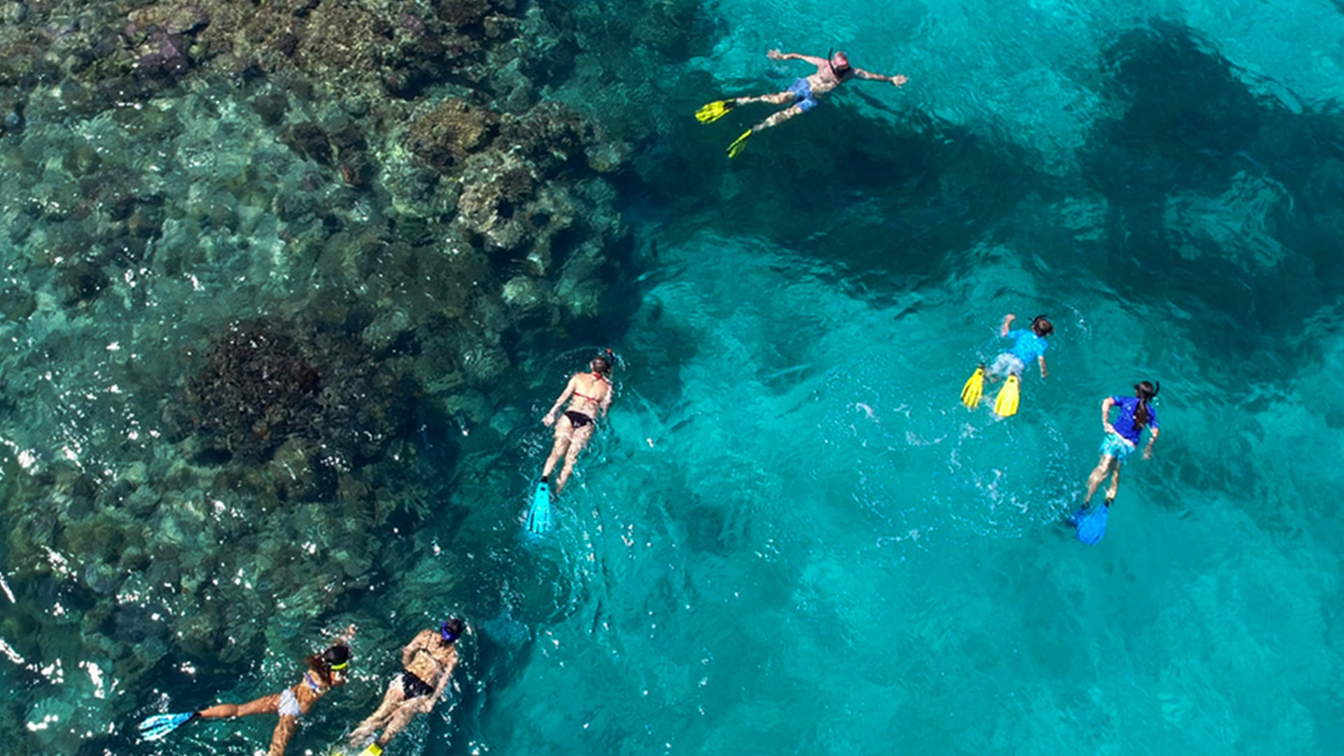 Snorkeling at Chole Bay Coral Gardens | Exploring Mafia Island