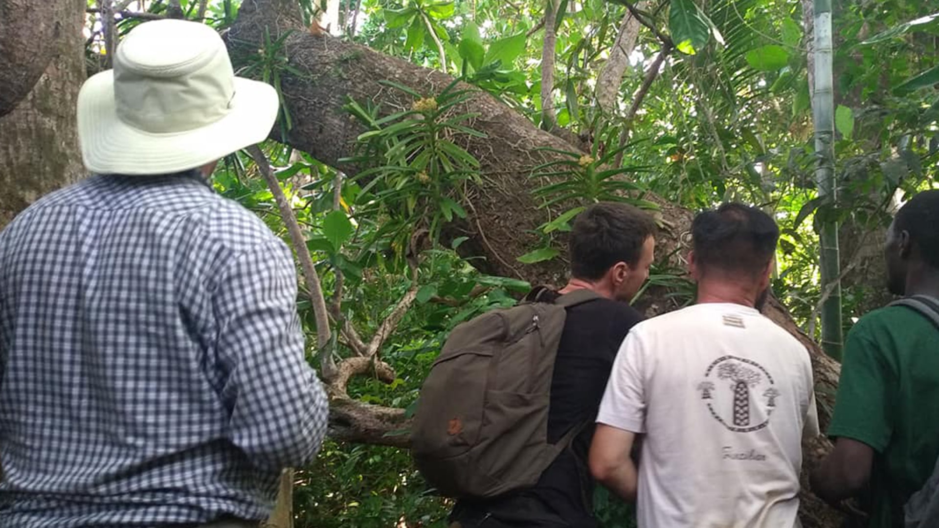 Exploring Ngezi Forest Reserve | Travel To The Island Of Pemba