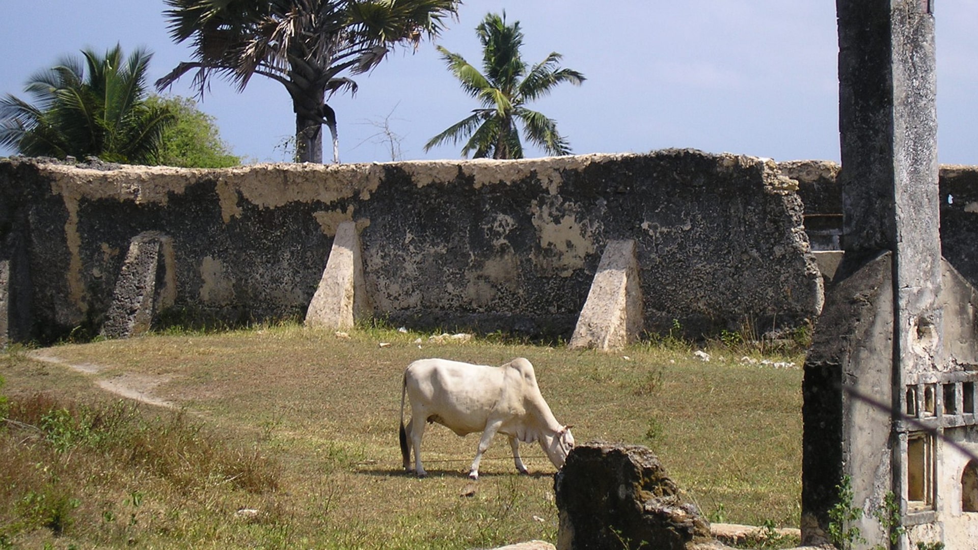 Historical Places to Visit in Pemba | Explore the Island Of Pemba