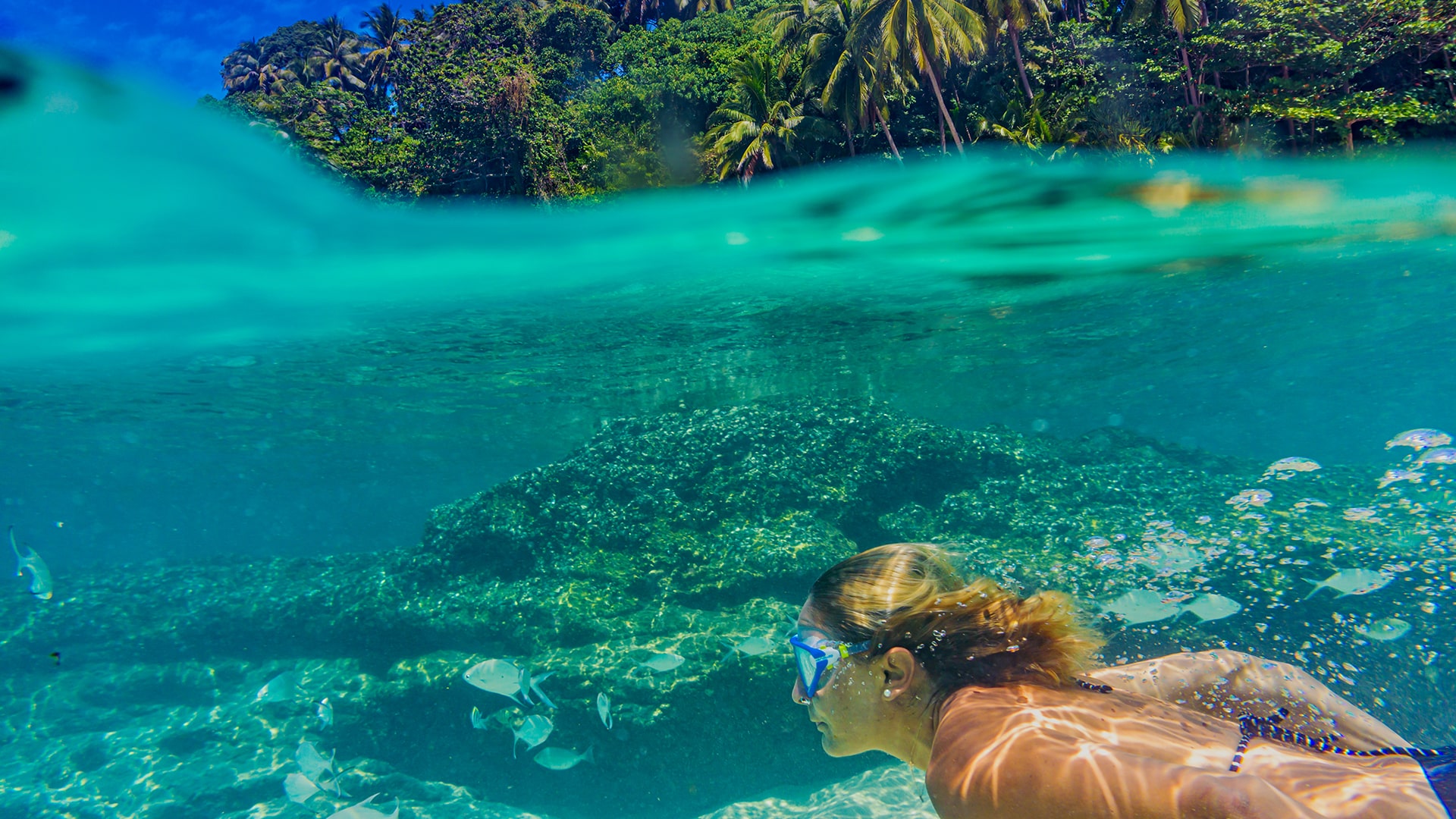 Snorkeling at Misali Island Coral Gardens | The Island Of Pemba