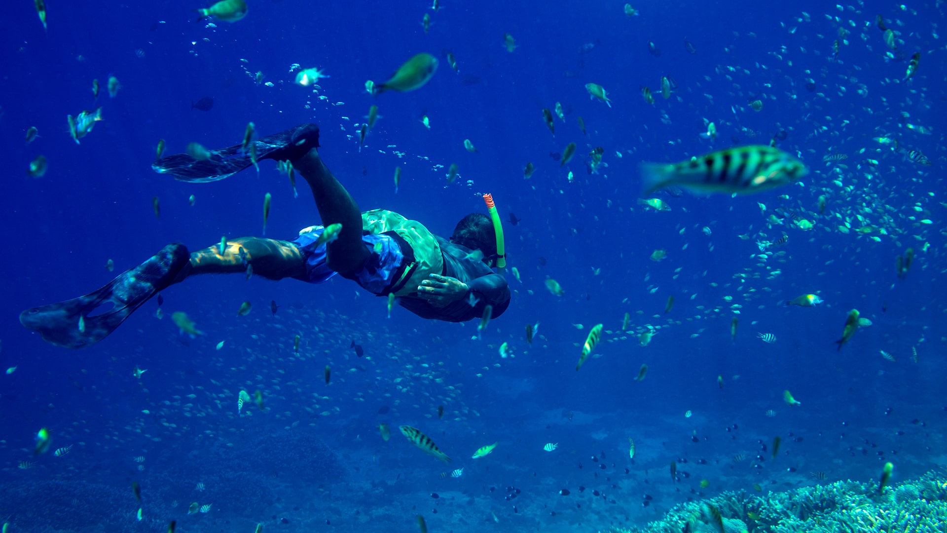 Snorkeling at Misali Island Coral Gardens | The Island Of Pemba