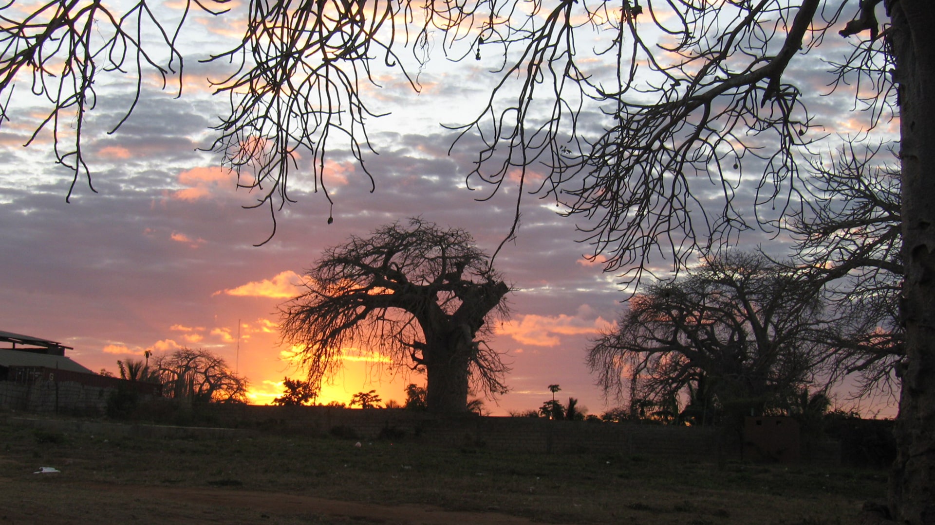 Visiting Cultural Villages in Pemba | Best Hidden Gem Attractions